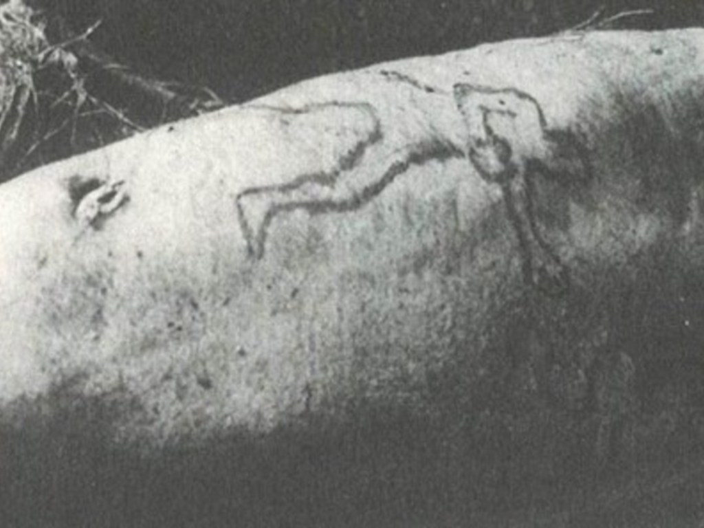 Episode 108: The Shark Arm Murder – Half-Arsed History